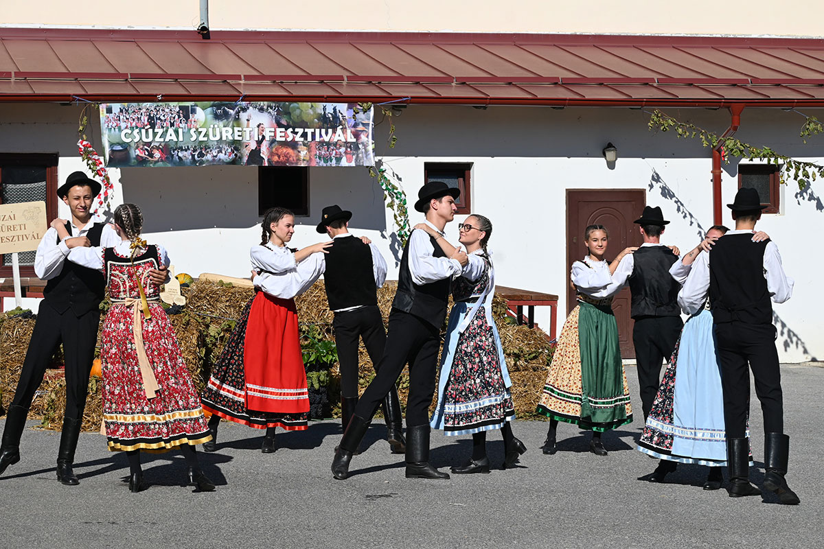 Csúza: A szüreti hagyományokhoz hűen - Képes Újság
